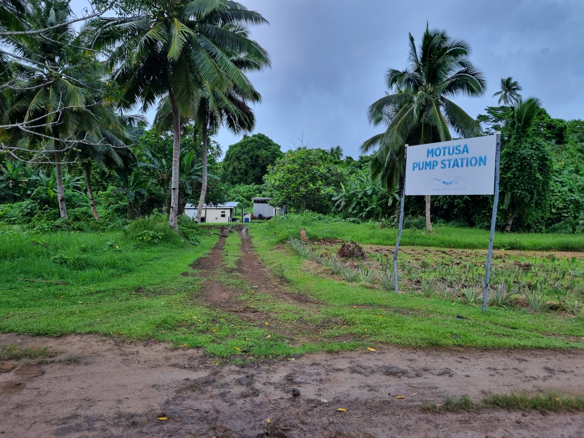 Home - REnew Pacific